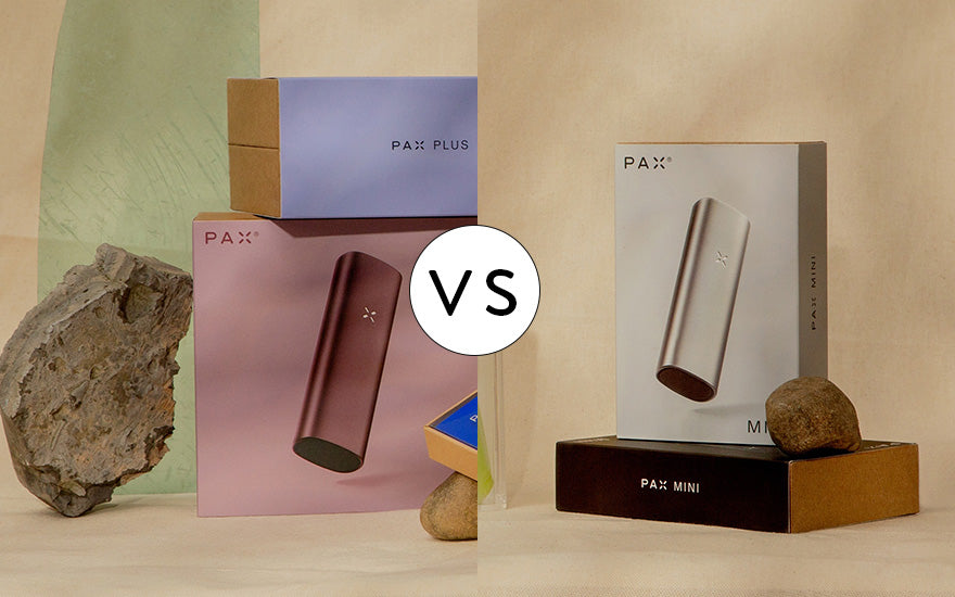 Pax Plus vs. Pax Mini: Ein ausführlicher Vergleich + Tipps! – Herbalize ...